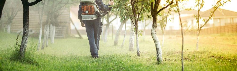 Umbrohutõrje - Murumehed.ee - Aia hooldusteenused
